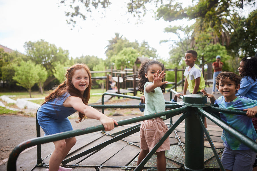 Milwaukee Wisconsin Playground Equipment