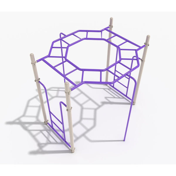 Octagon Cage Overhead